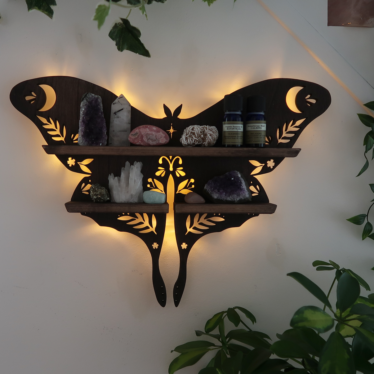 Luna Moth Lamp Crystal Shelf – msheep.com